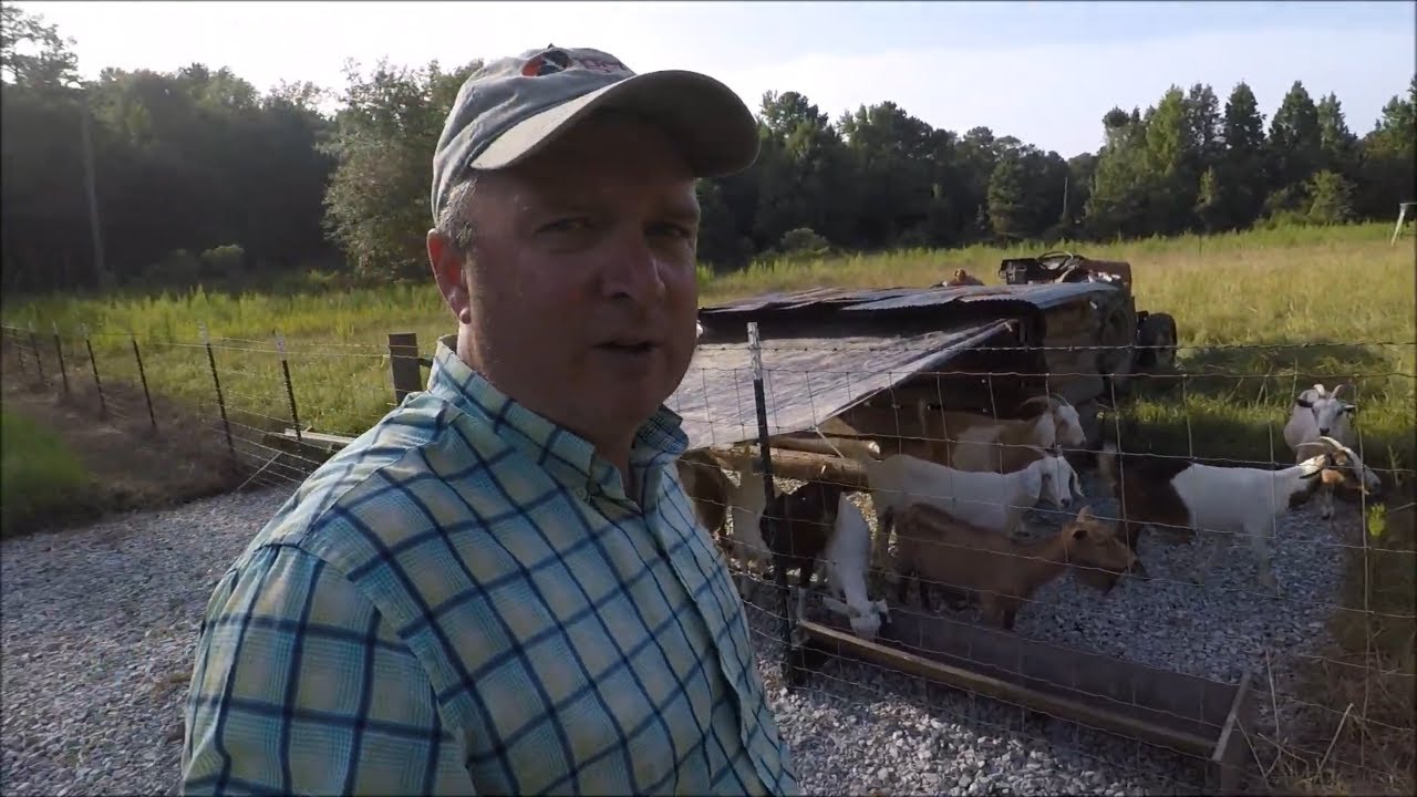 Rotational Grazing for GOATS - It's Beneficial !! For Your PASTURES and ...