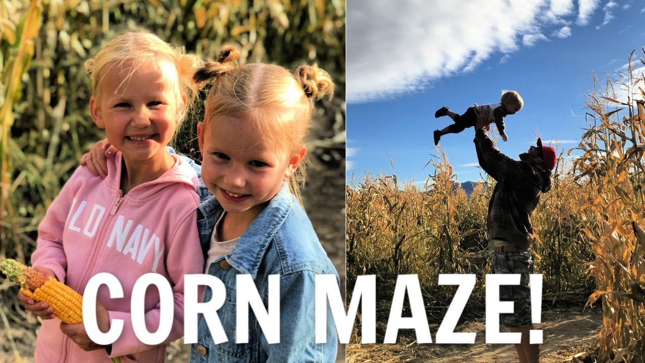 Perfect way to spend a fall day! Corn Maze! - YouTube