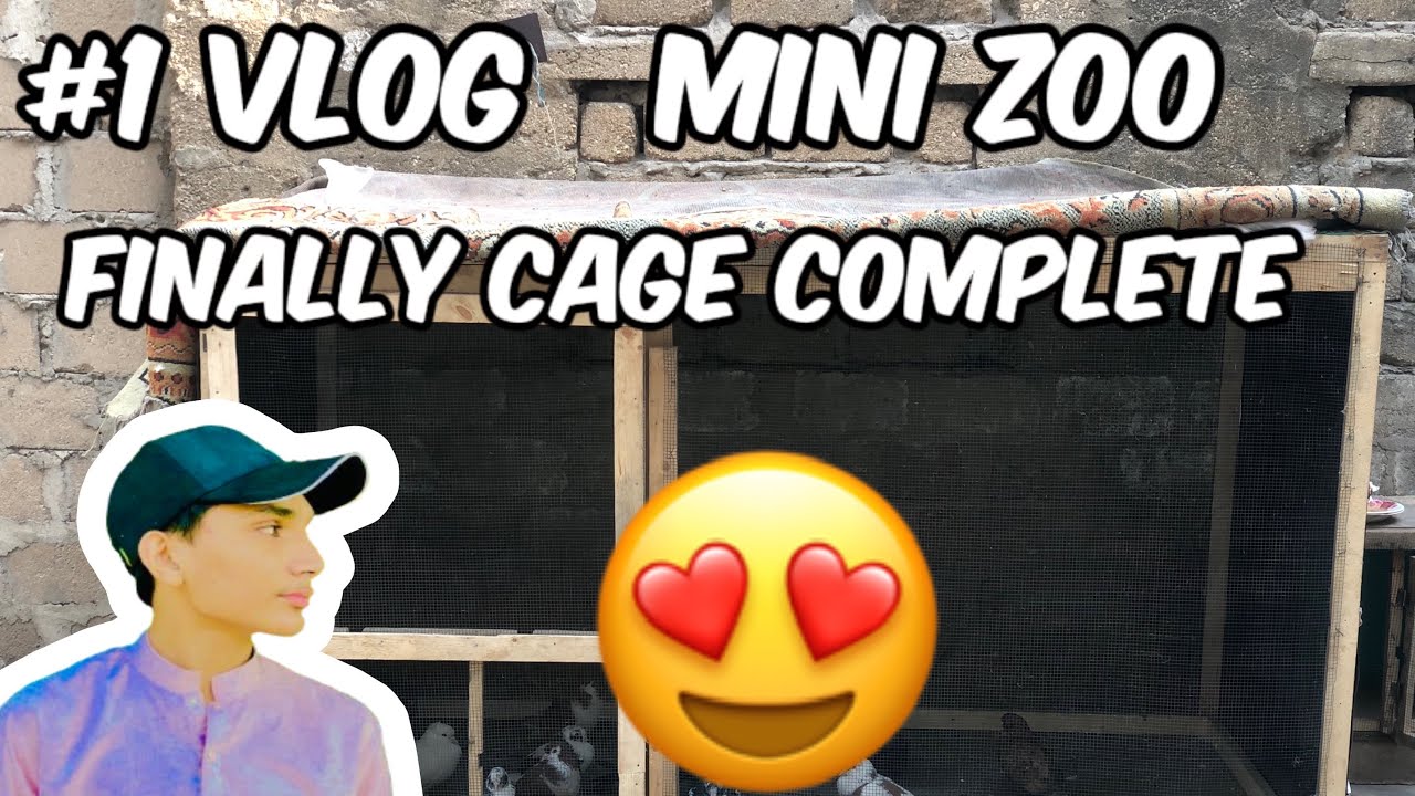 #1 First😍 Vlog Mini Zoo ️ Cage Complete - YouTube