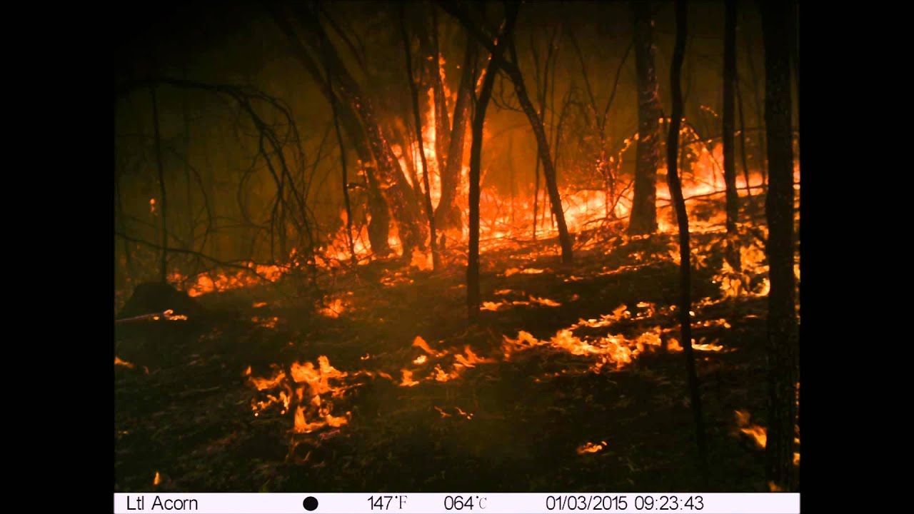 Ltl Acorn captures the South Australian Bushfires - YouTube
