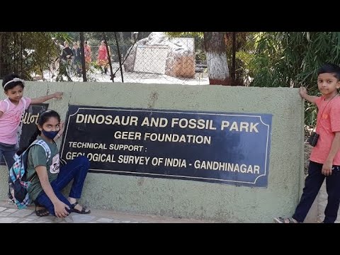 Geer Foundation Fossil Park Visit - GANDHINAGAR - YouTube