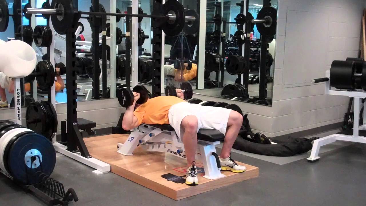 DB Fly Press: 3D Performance Training - YouTube