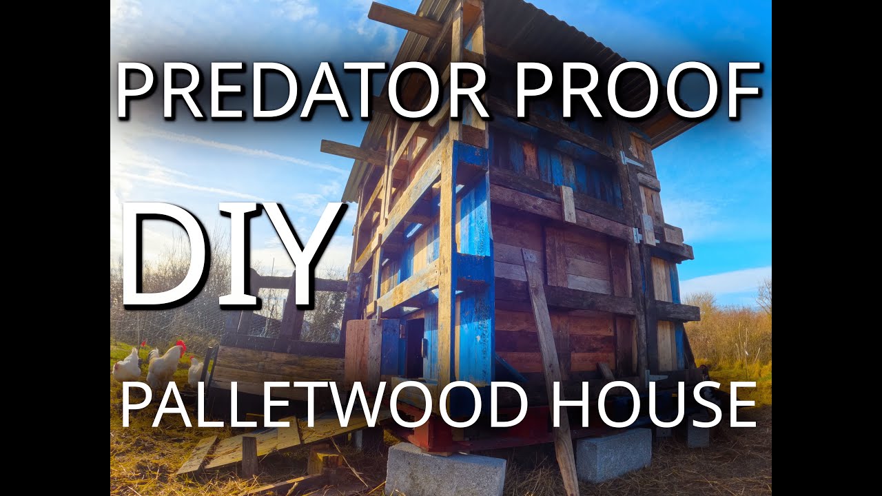 PREDATOR PROOF BIRD ENCLOSURE! DIY PALLETWOOD BIRDHOUSE! - YouTube