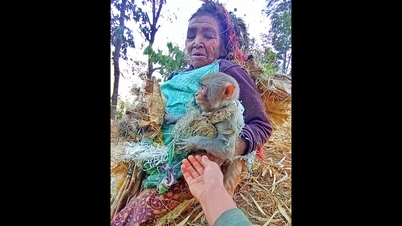 Baju's monkey || suman hang subba - YouTube