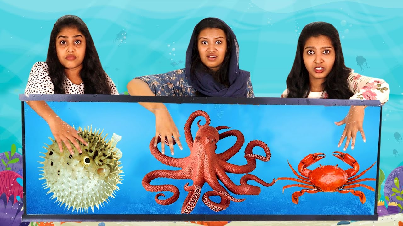 WHAT’S IN THE BOX UNDERWATER CHALLENGE 😱 | നല്ല എട്ടിന്റെ പണികള്‍ 😂 ...