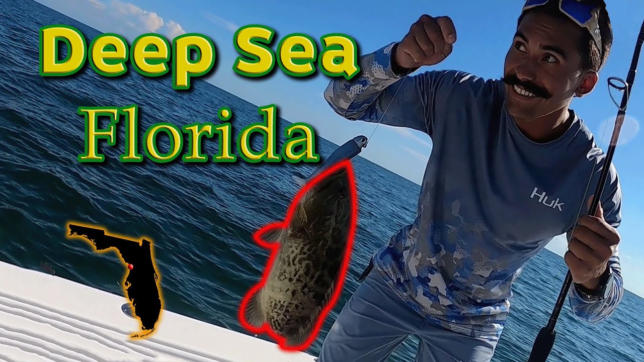Deep Sea GROUPER off the Coast of Crystal River, FL - BurntFish Angling ...