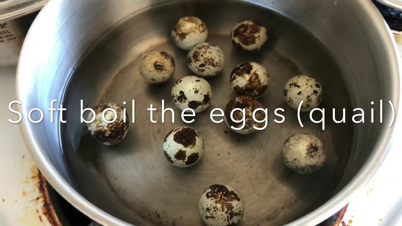 Notnac Ticnap - YouTube