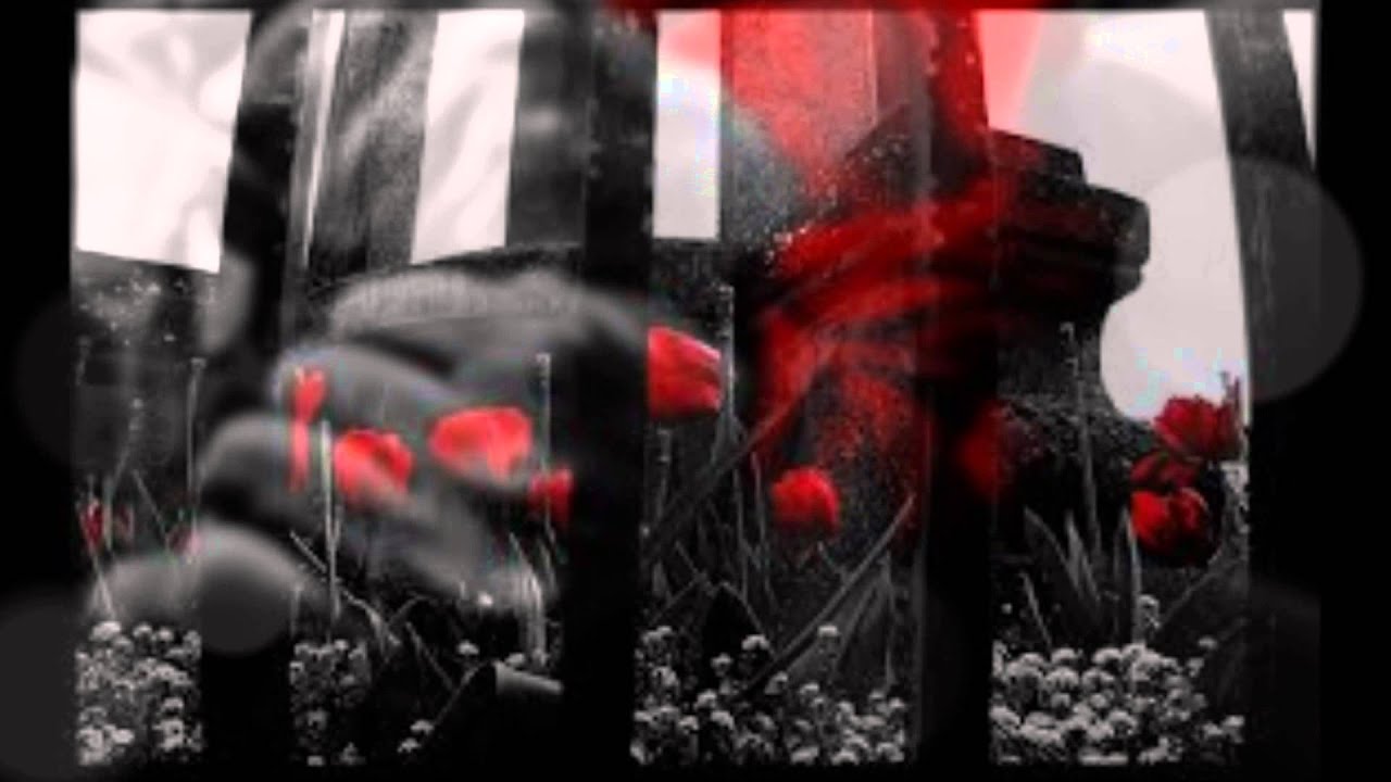 the future - Leonard Cohen - YouTube Music