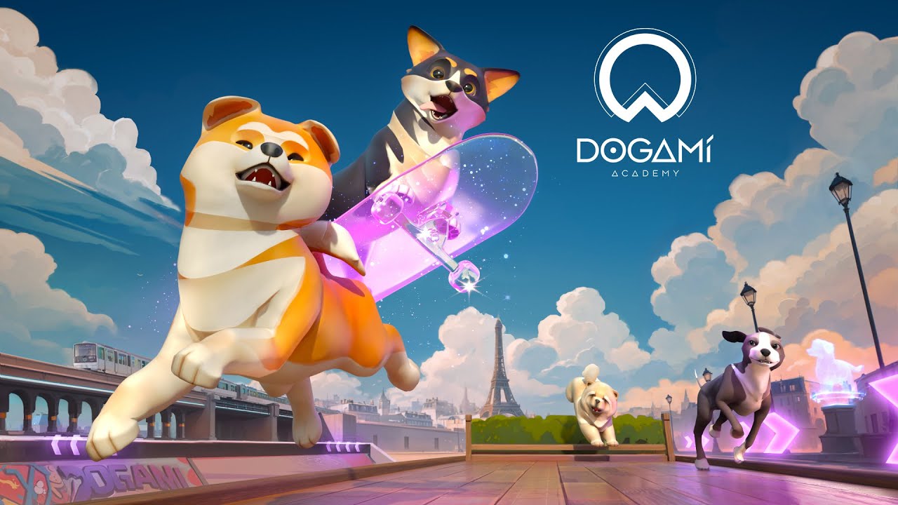 DOGAMÍ Academy - YouTube