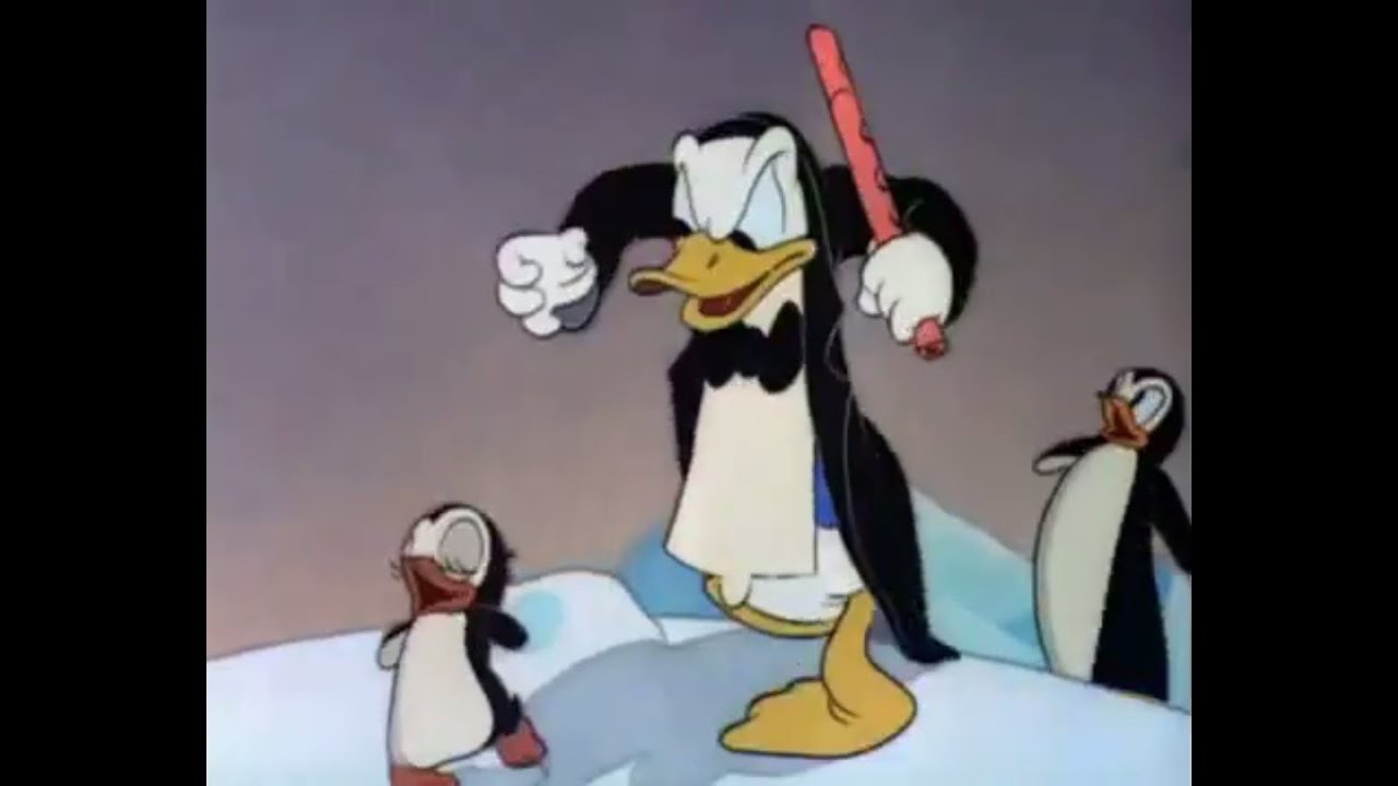 Donald Duck Cartoon _ Polar Trappers - YouTube
