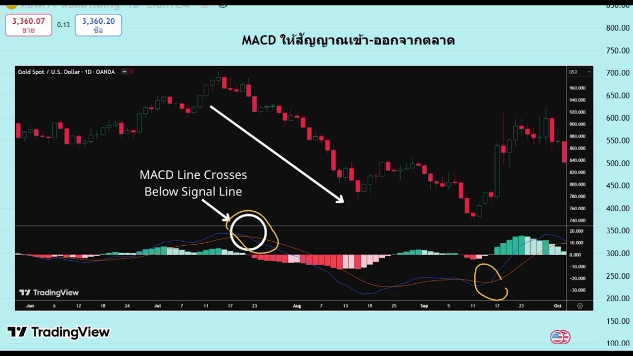สไน LIVE พาทำความรู้จัก MACD Indicator ฉบับมือใหม่ เข้าใจง่าย ใช้ได้ทันที กับสไนครับ :) - YouTube