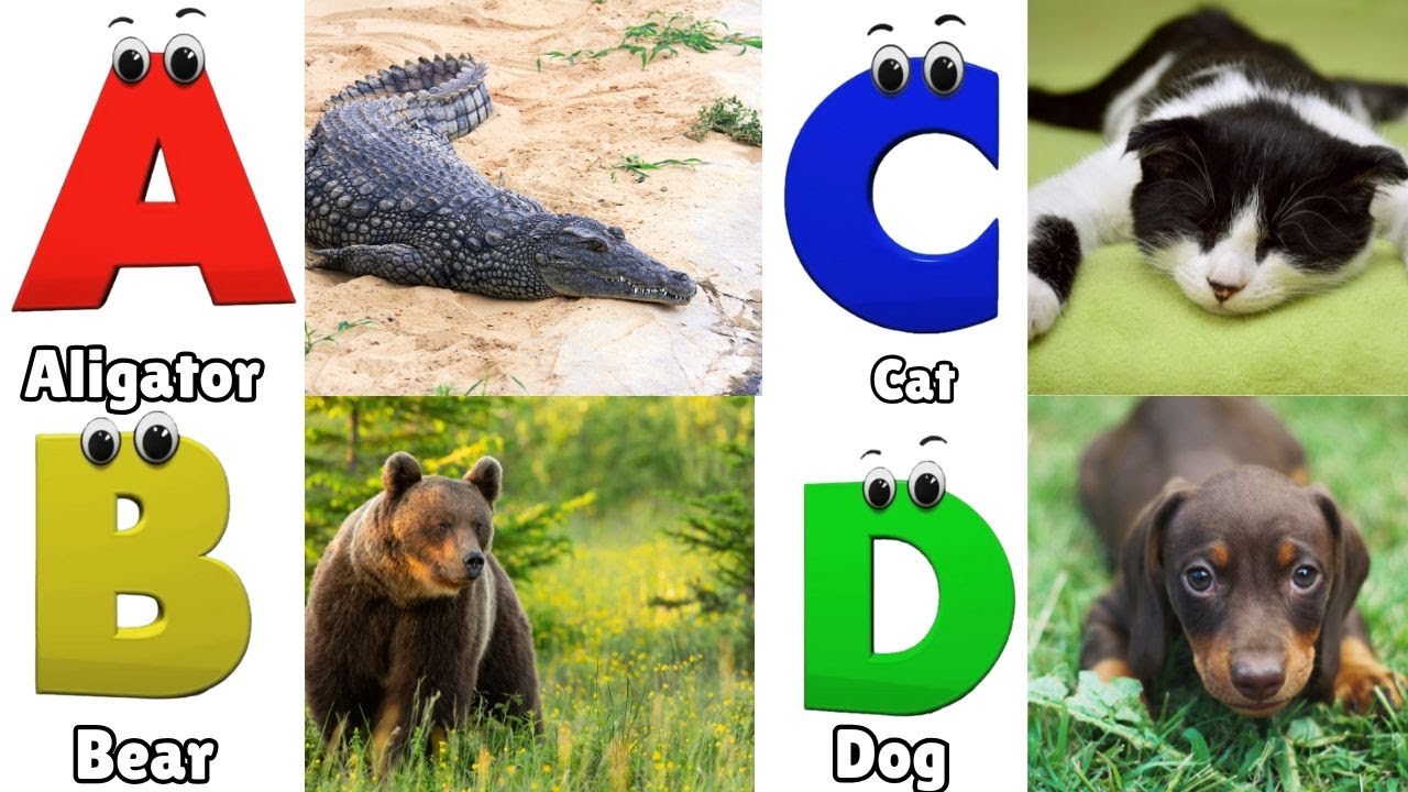 Alphabet Animals Song | Learn the ABC Alphabet Animals Song for Kids ...