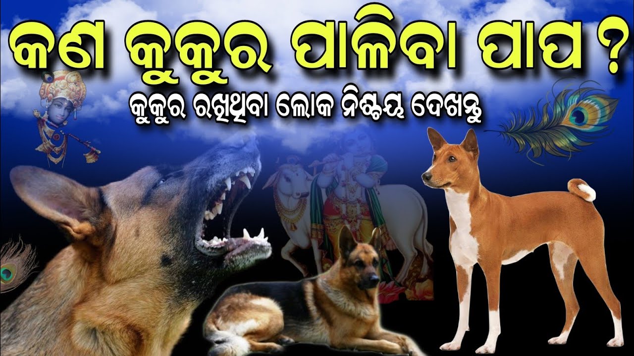 କଣ କୁକୁରକୁ ପାଳିବା ପାପ ? ଖାଦ୍ୟଦେବା ପାପ ? କଣ କୁହନ୍ତି ଭଗବାନ ଶ୍ରୀକୃଷ୍ଣ ...