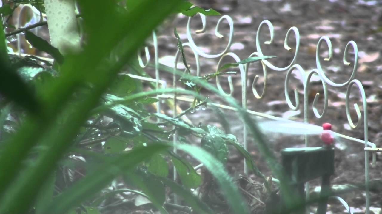 Microjet Irrigation - YouTube