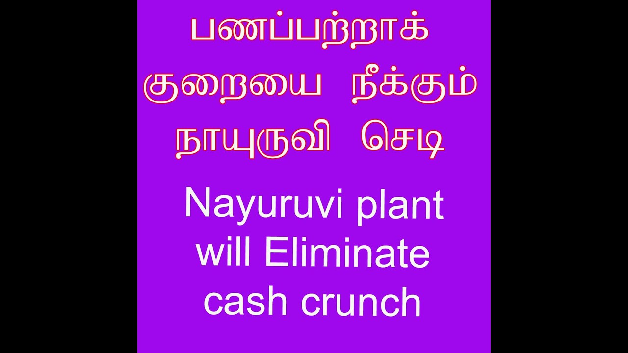 Nayuruvi plant will Eliminate cash crunch|பணப்பற்றாக் குறையை நீக்கும் ...
