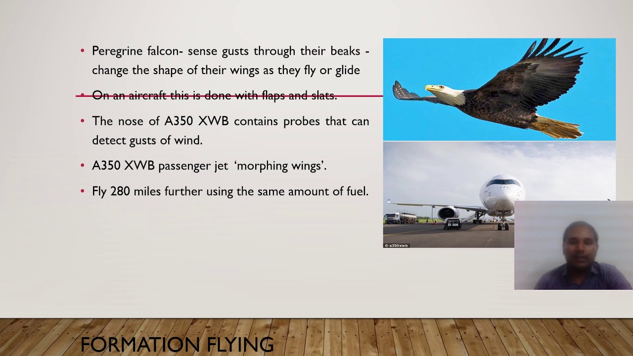 BIOMIMETICS IN AEROSPACE - YouTube