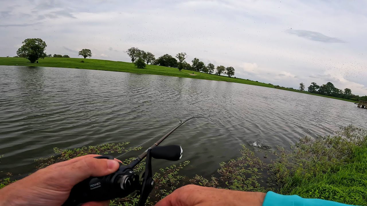 PATTERNING THE FISH!!! (White Hall Lake) Cody & Dylan Pond 1v1 - YouTube