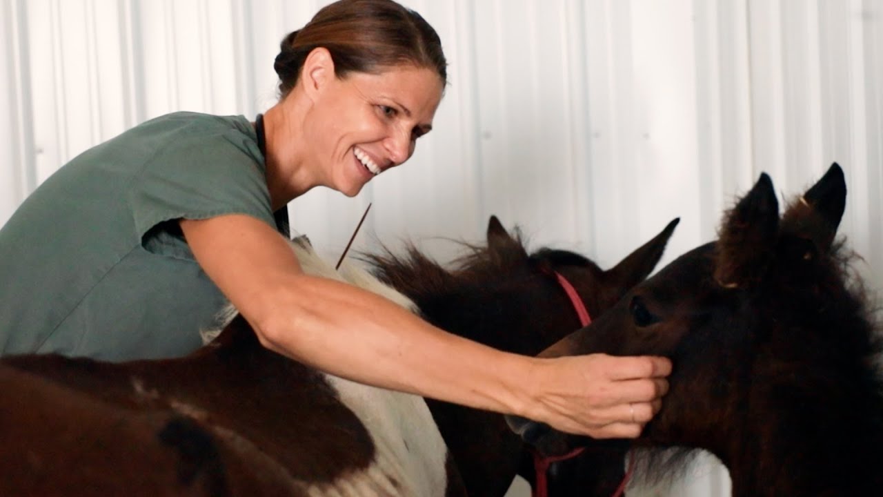 Update | Octavia and Baby Spock - YouTube