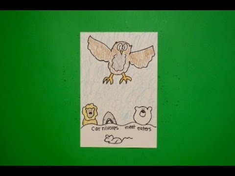Let's Draw Carnivores! - YouTube