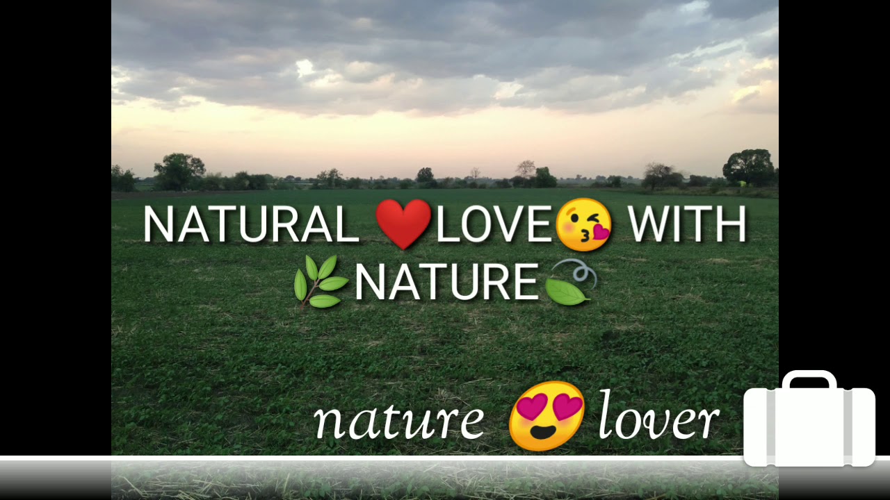 Natural love with nature picture's video - YouTube