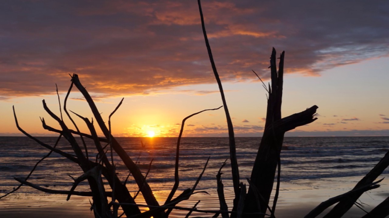 bull island - YouTube