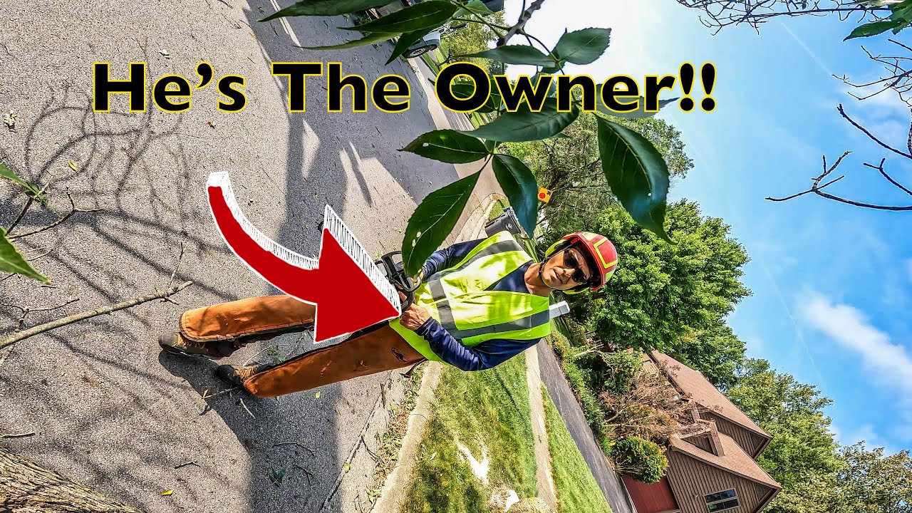 Undercover Boss! Felling Trees With The Legend Himself! - YouTube
