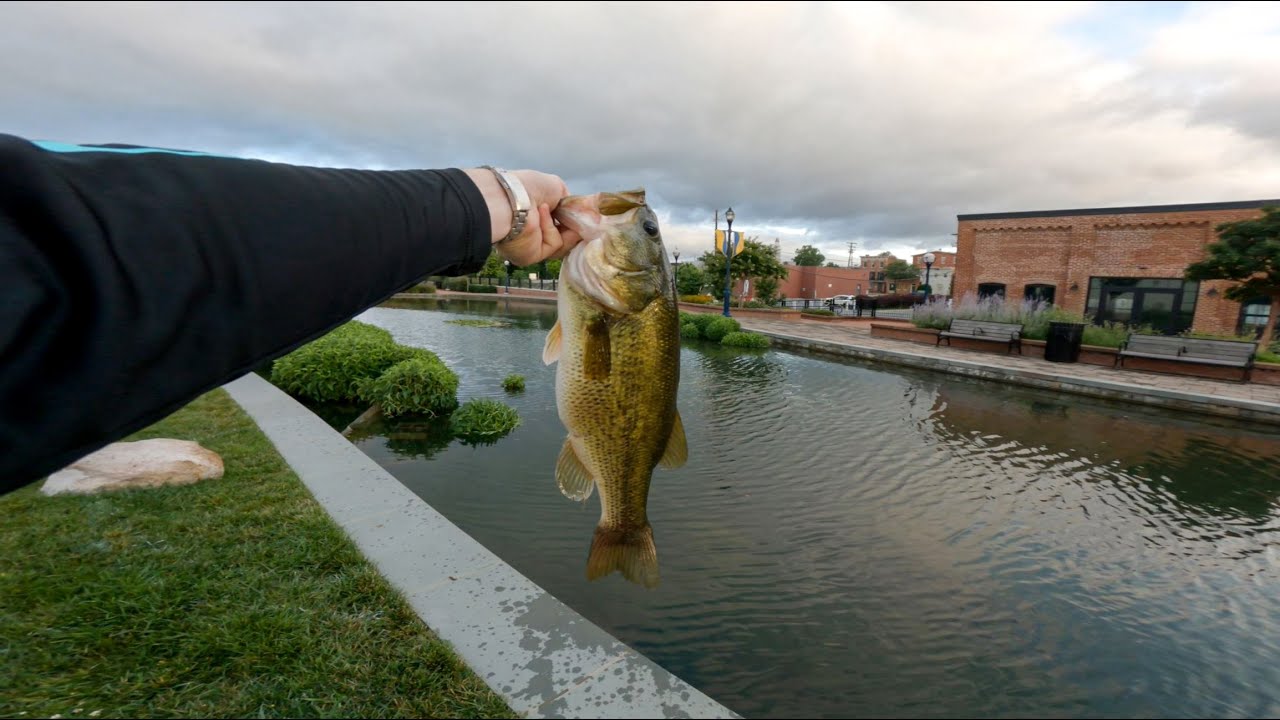 Urban Fishing in Frederick Maryland - YouTube