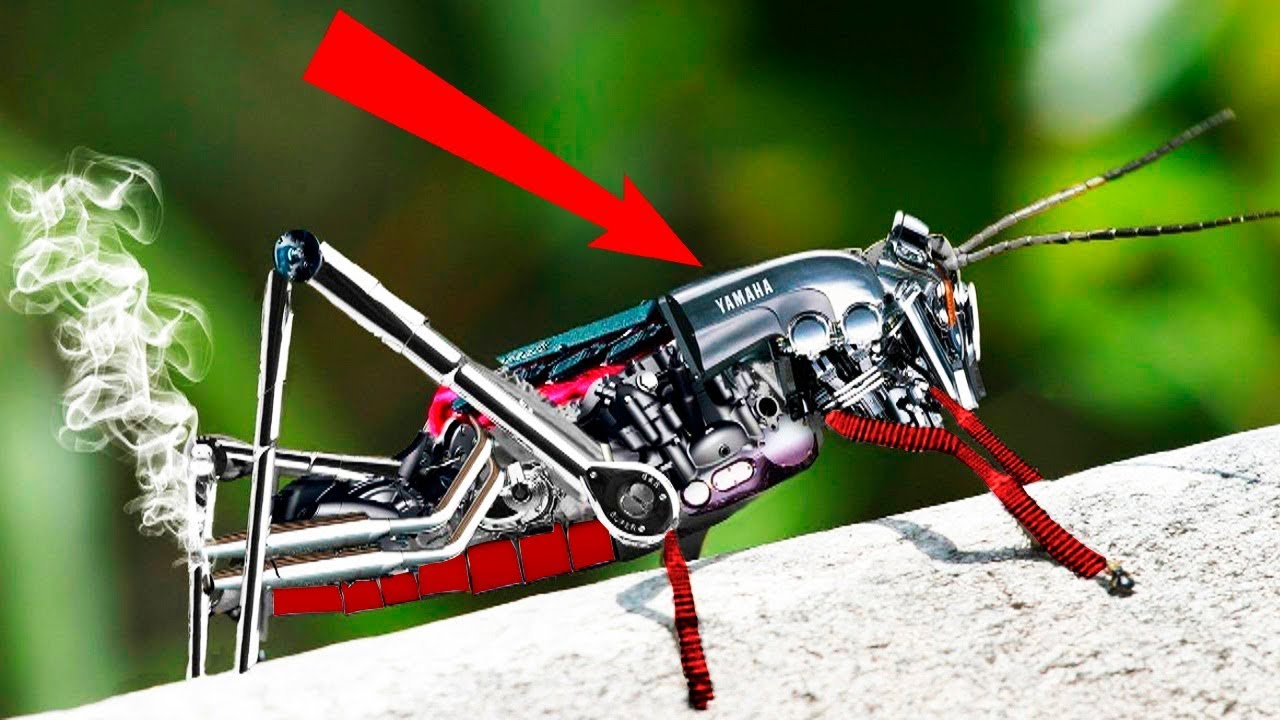 The Best Robots of The Future! amazing inventions 2019 - YouTube