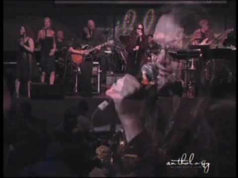 Steely Damned - "Any World (That I'm Welcome To)" live at Anthology in ...