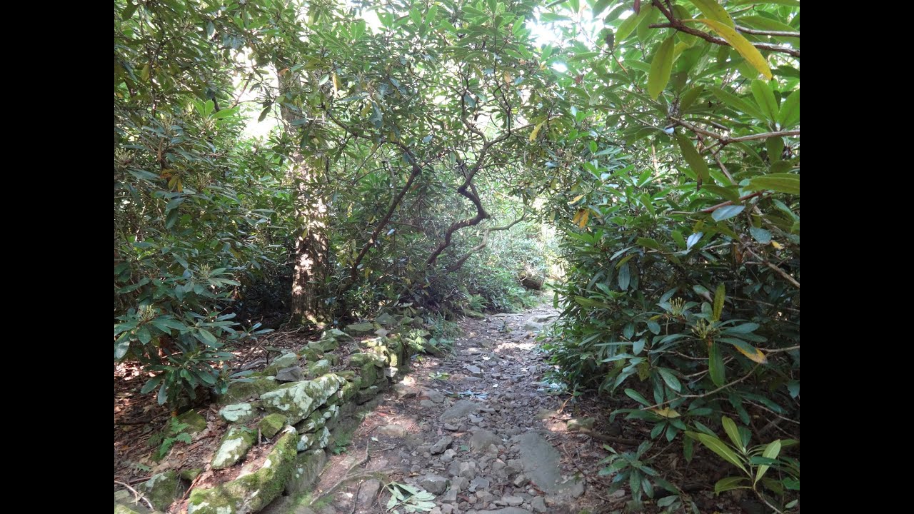 Rothrock State Forest: Shingletown Gap/Galbraith Gap - 9 mile loop ...
