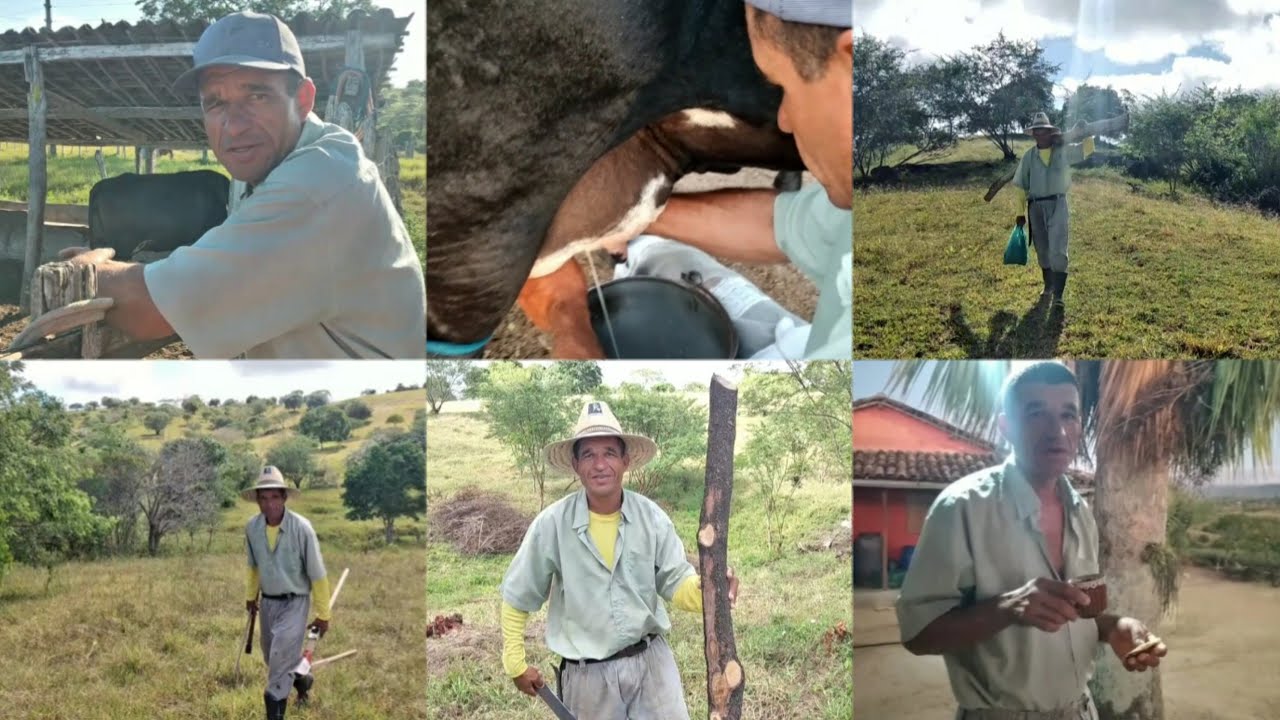 UM POUCO DA ROTINA DE UM PEQUENO PRODUTOR RURAL - YouTube