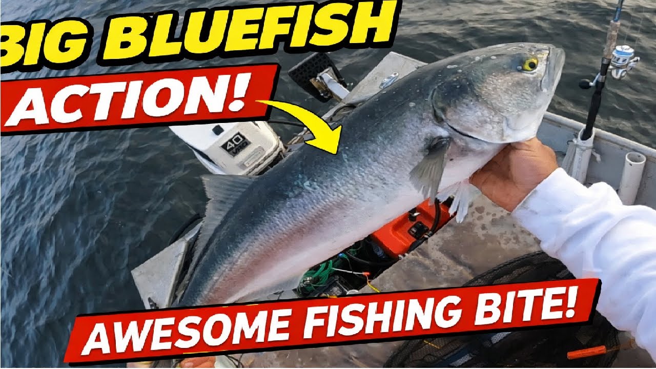 Fishing keeps getting better! - YouTube