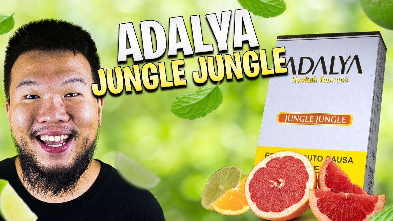 MELHOR SABOR da ADALYA! E EU NUNCA TINHA GRAVADO! 🤡 - YouTube