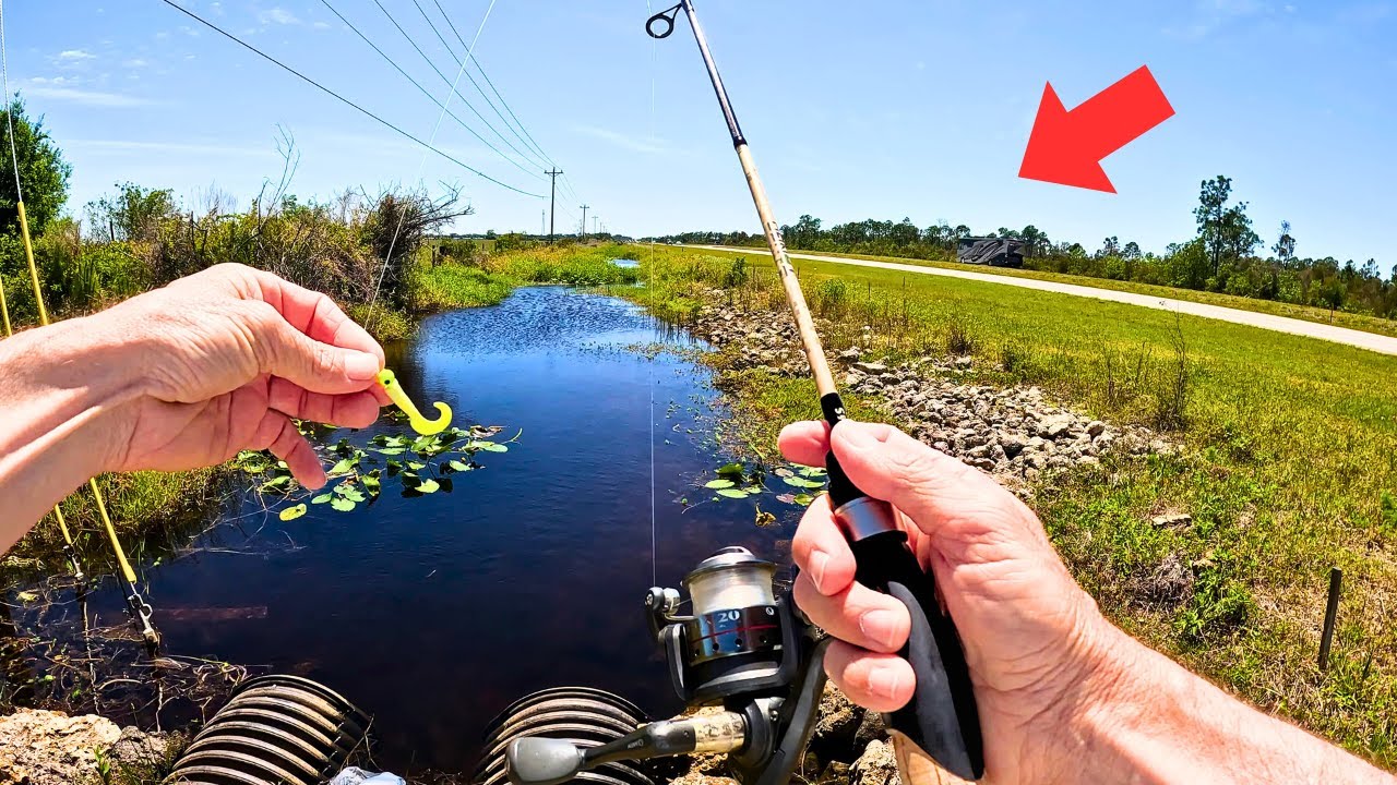 Ultralight Ditch Fishing for Invasive's | Fort Myers Roadside - YouTube