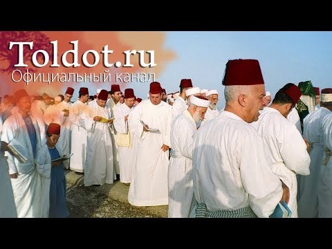 Самаритяне, они же Шомроним, они же Кутим. Рав Нахум Шатхин. Книга Эзры 11