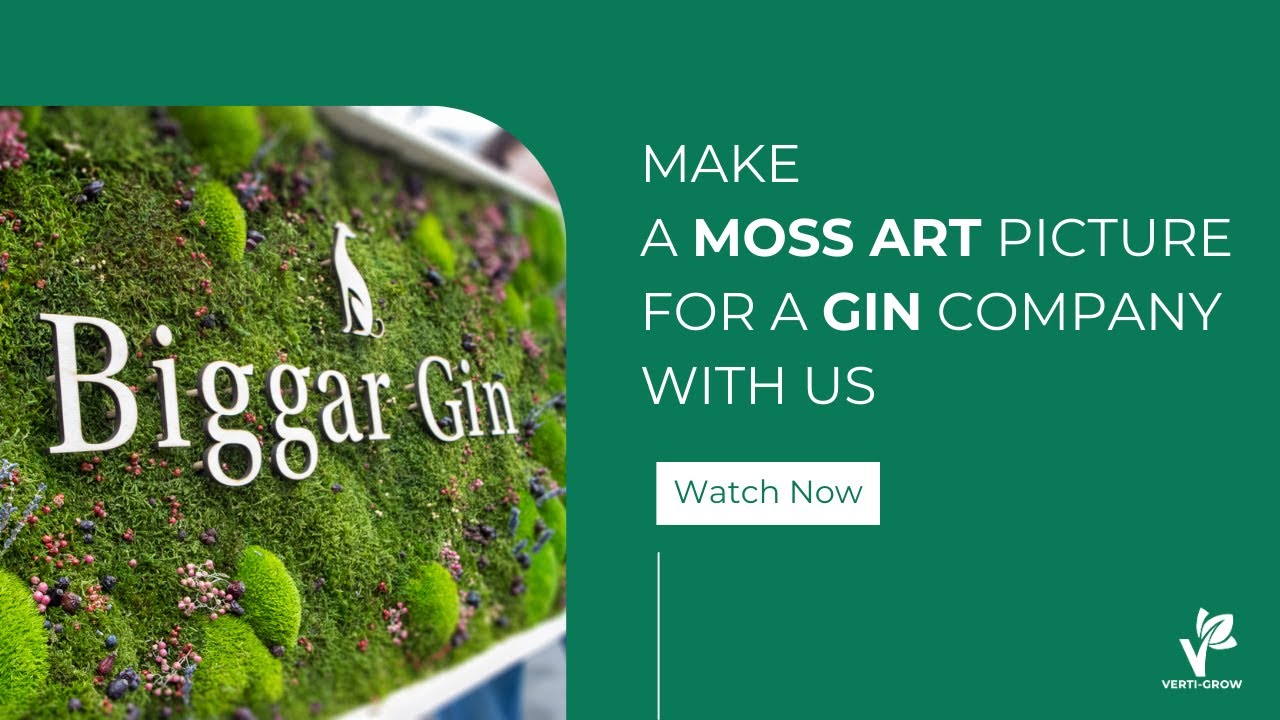 Make a moss wall art for a Gin Company with us | Biggar Gin | Verti ...