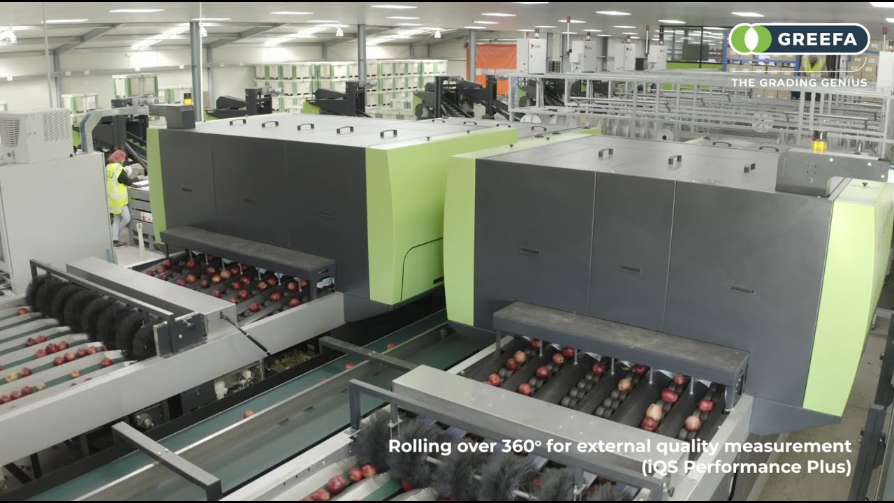 Apple sorting and packing @ CAJ - Van der Voort, New Zealand Apples ...