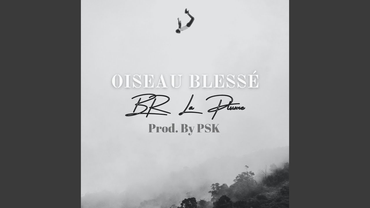 Oiseau Blessé - YouTube Music