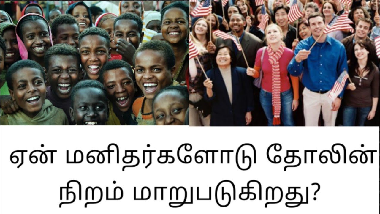 Why do we have different skin tones? - YouTube