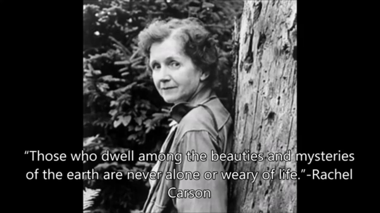 Inspiring Quote Of The Day - Rachel Carson - YouTube