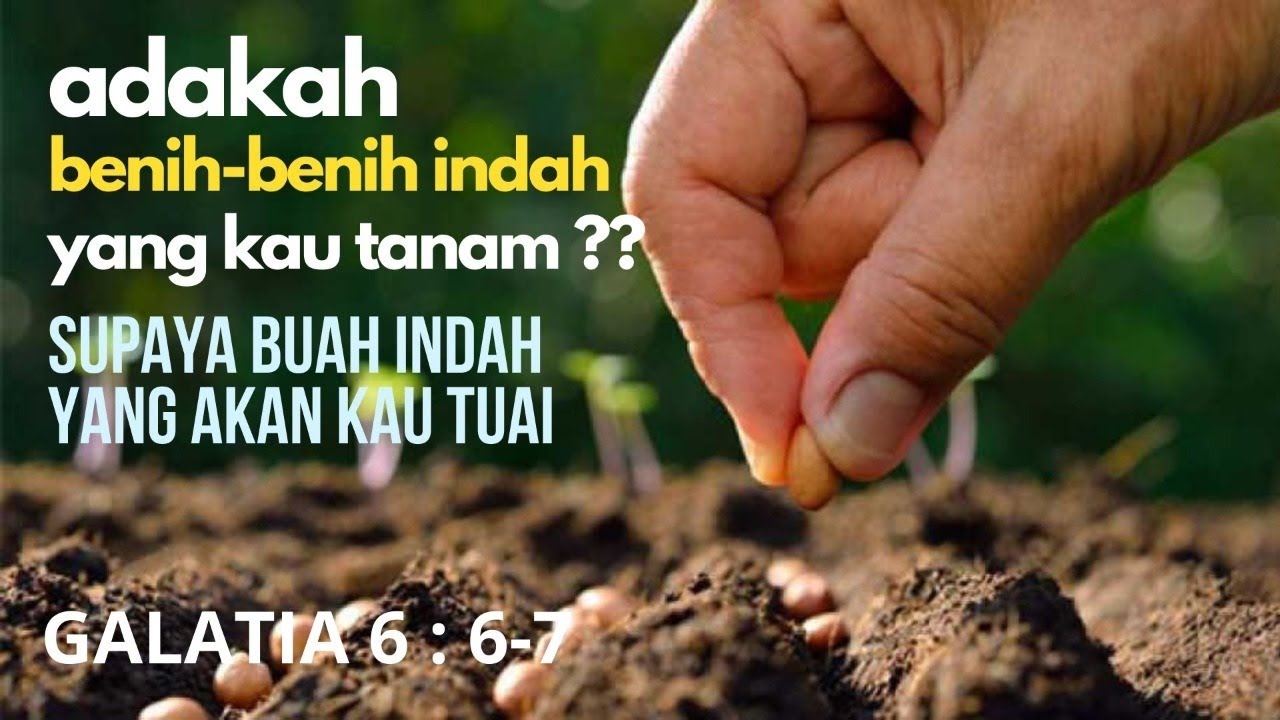 Adakah benih - benih indah yg kau tanam ?? SUPAYA BUAH INDAH YG AKAN ...