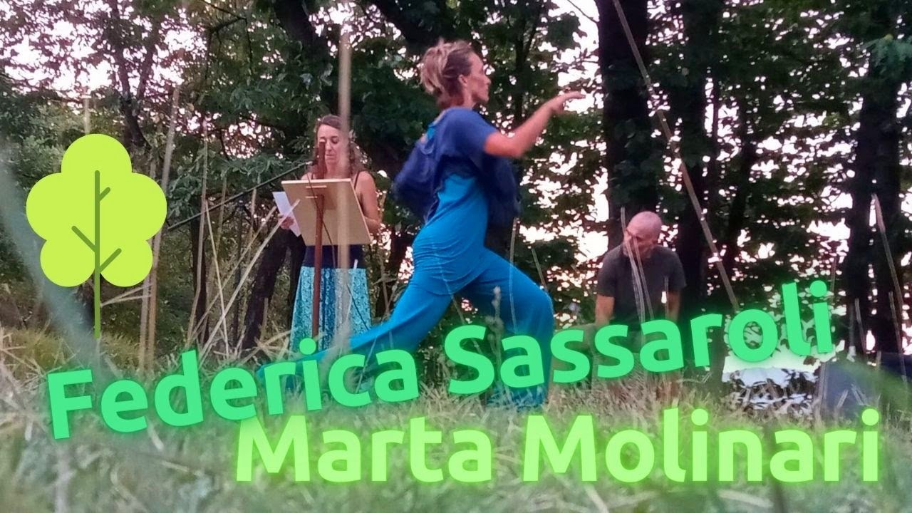 Federica Sassaroli, Marta Molinari - L'uomo che piantava gli alberi ...