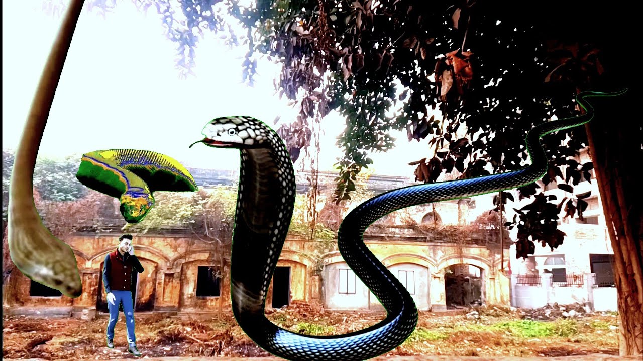 best of Anaconda Jurassic Park tiger snake siren head python King Cobra black attack p-37 - YouTube