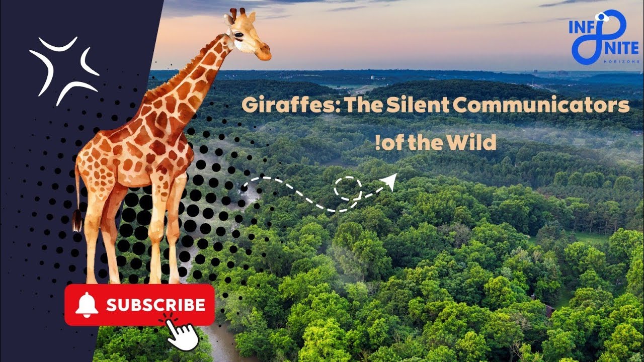 "Giraffes Communicate Silently? Discover Their Hidden Language!" - YouTube