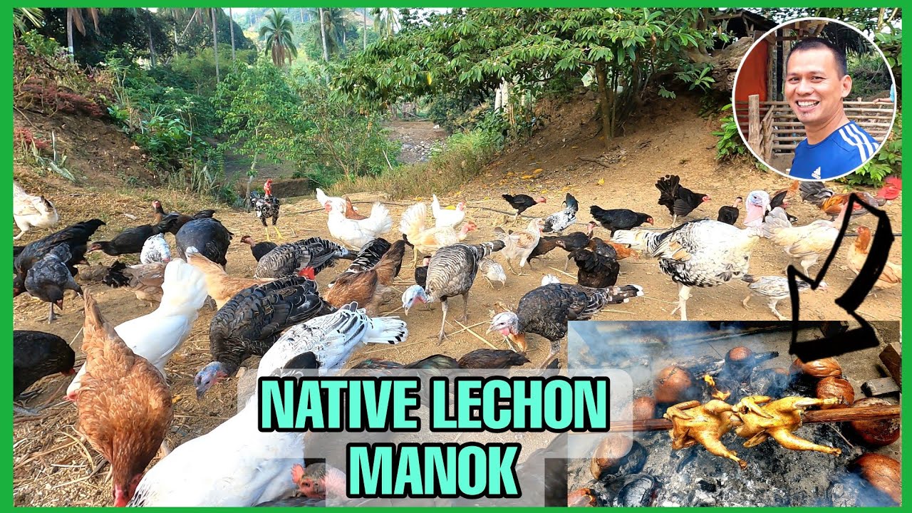 NATIVE LECHON MANOK/UPDATE AT GOOD NEWS NAMAN SA MGA ALAGANG KAMBING ...