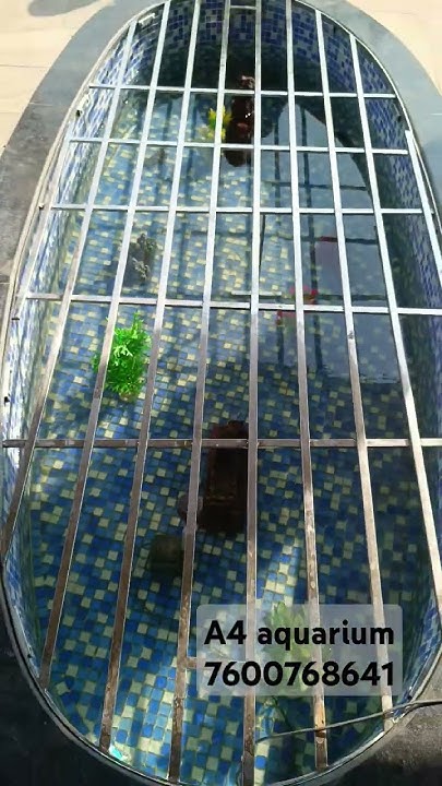 OUT DOOR Fish Pond set-up | Fish Pond | A4 aquarium | Big size fish aquarium #aquariumshop # ...