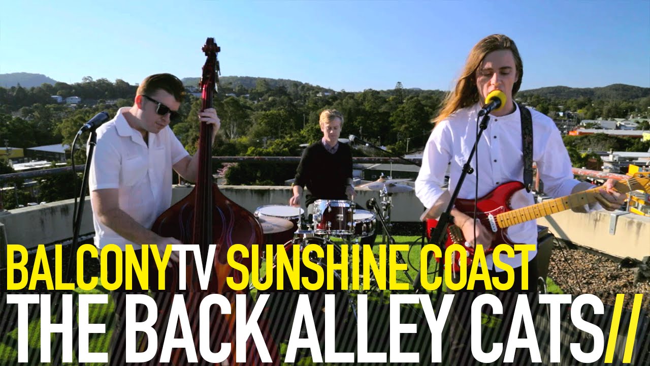 THE BACK ALLEY CATS - JUKEBOX JUNKIE (BalconyTV) - YouTube