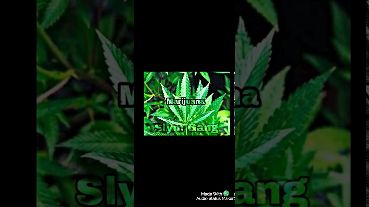 Marijuana_prod_by_ DMG Recordz - YouTube