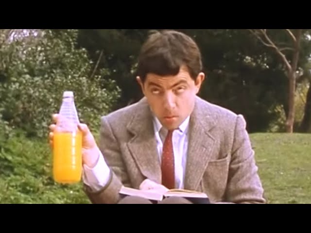 Mr. Bean's Picnic - Watch Him Cause…: English ESL video lessons