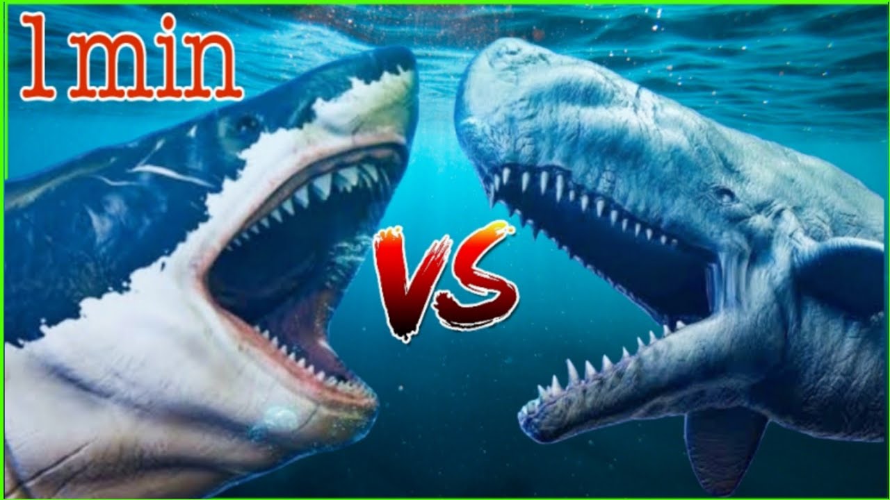 Megalodon Vs leviathan Fight Who Would be Win - YouTube
